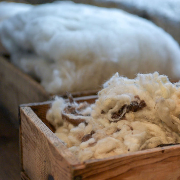 Top 5 Natural Benefits of Wool | Baabuk Blog